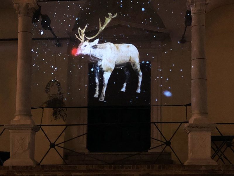 Stark Ologrammi - Tecnologia Interattiva 3D
